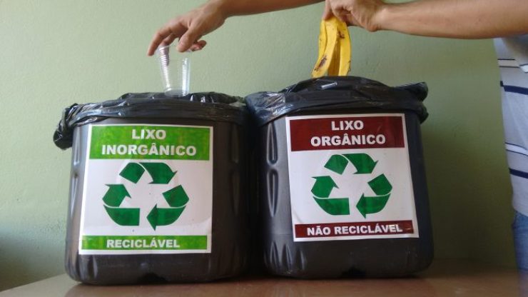 Lixo Verde: O que é, Exemplos, Como descartar corretamente.